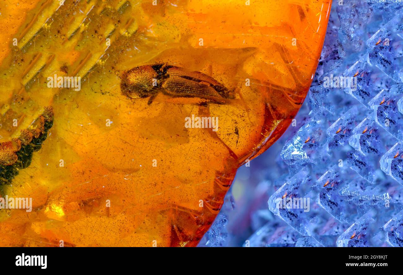 Closeup shot of amber stone, yellow transparent fossil resin with ...