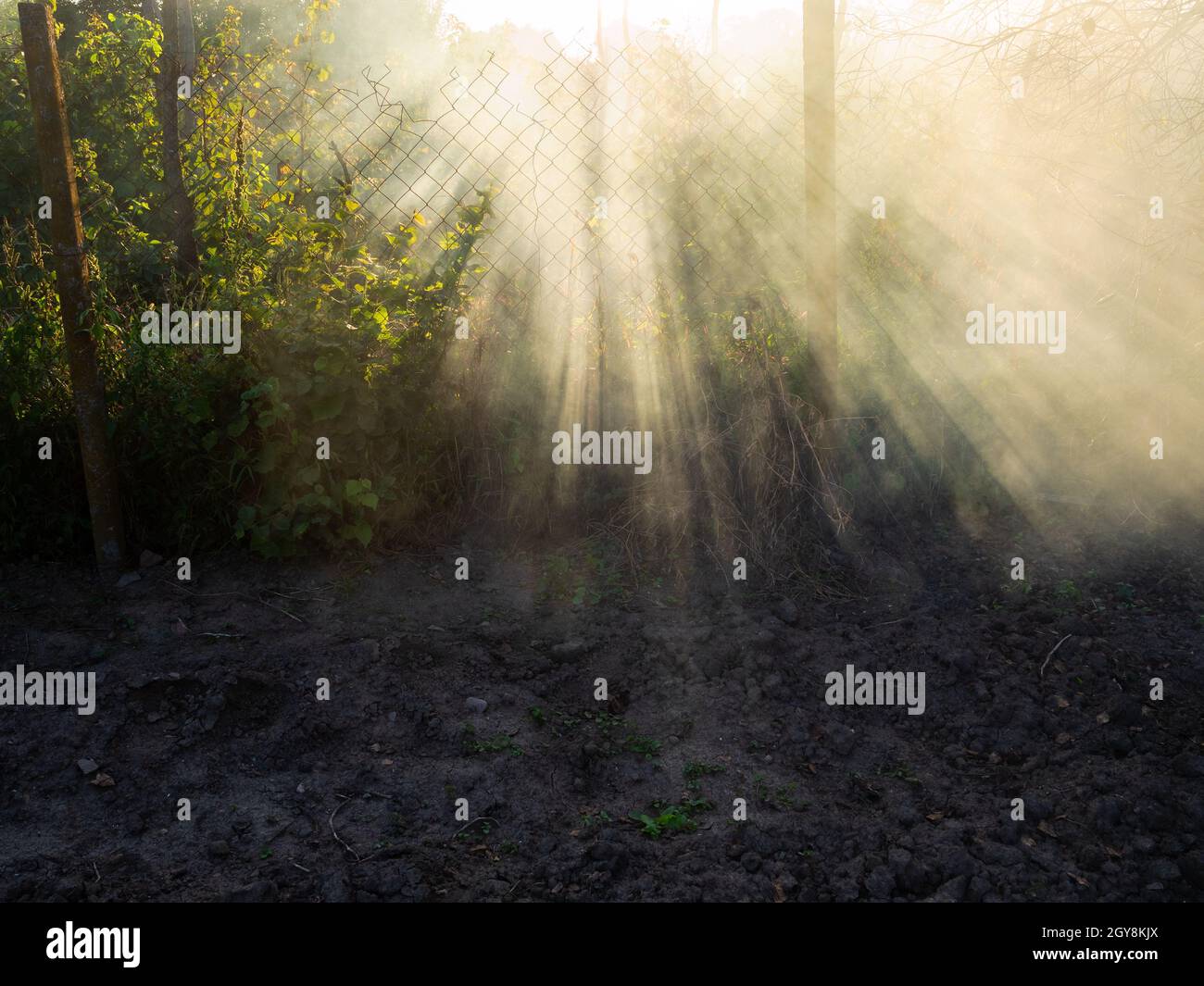 Sunbeams in mist from hi-res stock photography and images - Alamy