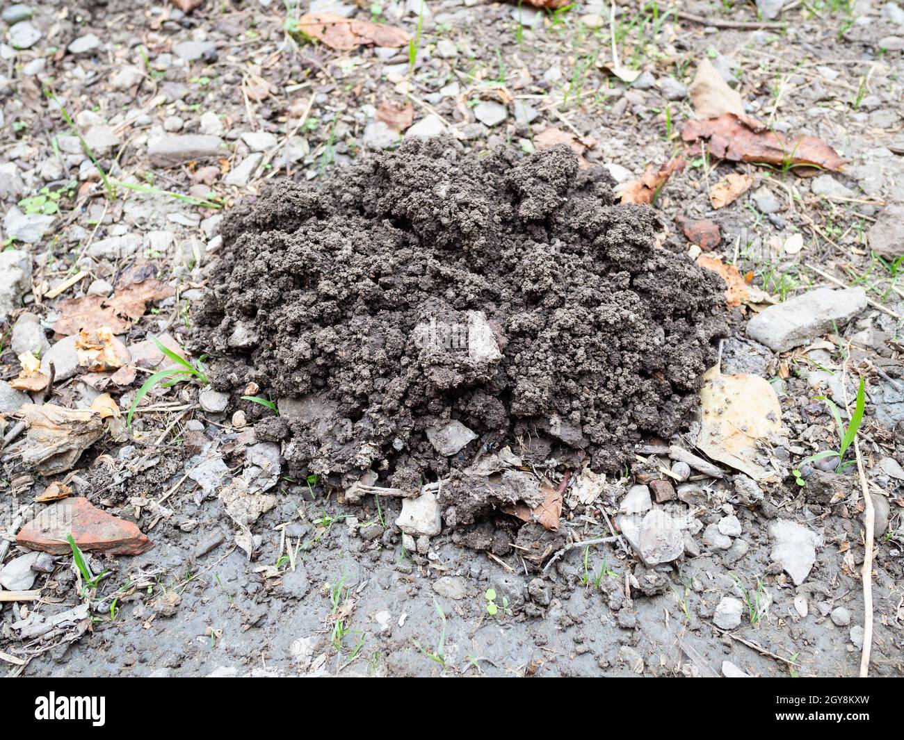 Earth mound garden hi-res stock photography and images - Alamy