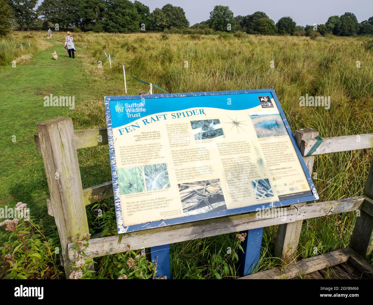A sign about the rare Fen Raft Spider in Redgrave Fen in Suffolk, UK ...