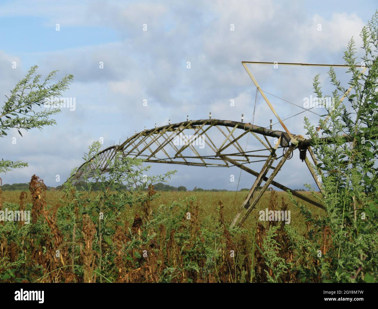 beautiful irrigation system in the field to artificially water called ...