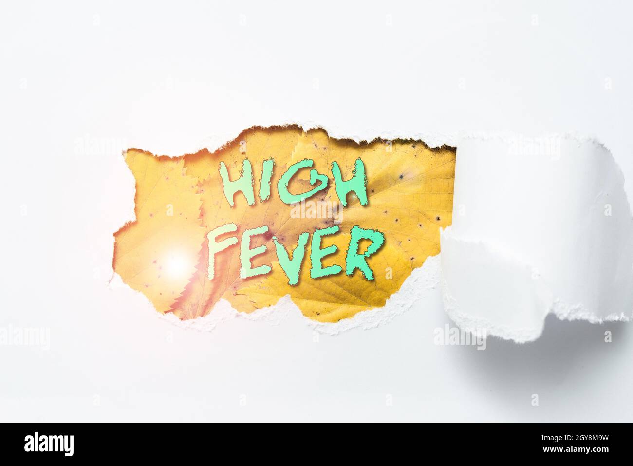 Sign displaying High Fever, Business approach medical condition which ...