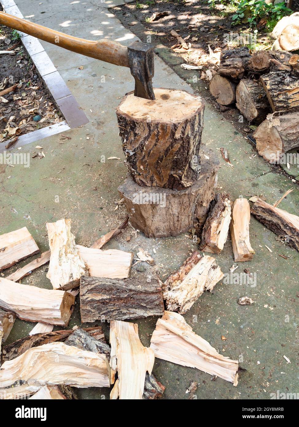 chopped firewood and cleaver ax in tree stump in backyard of village ...