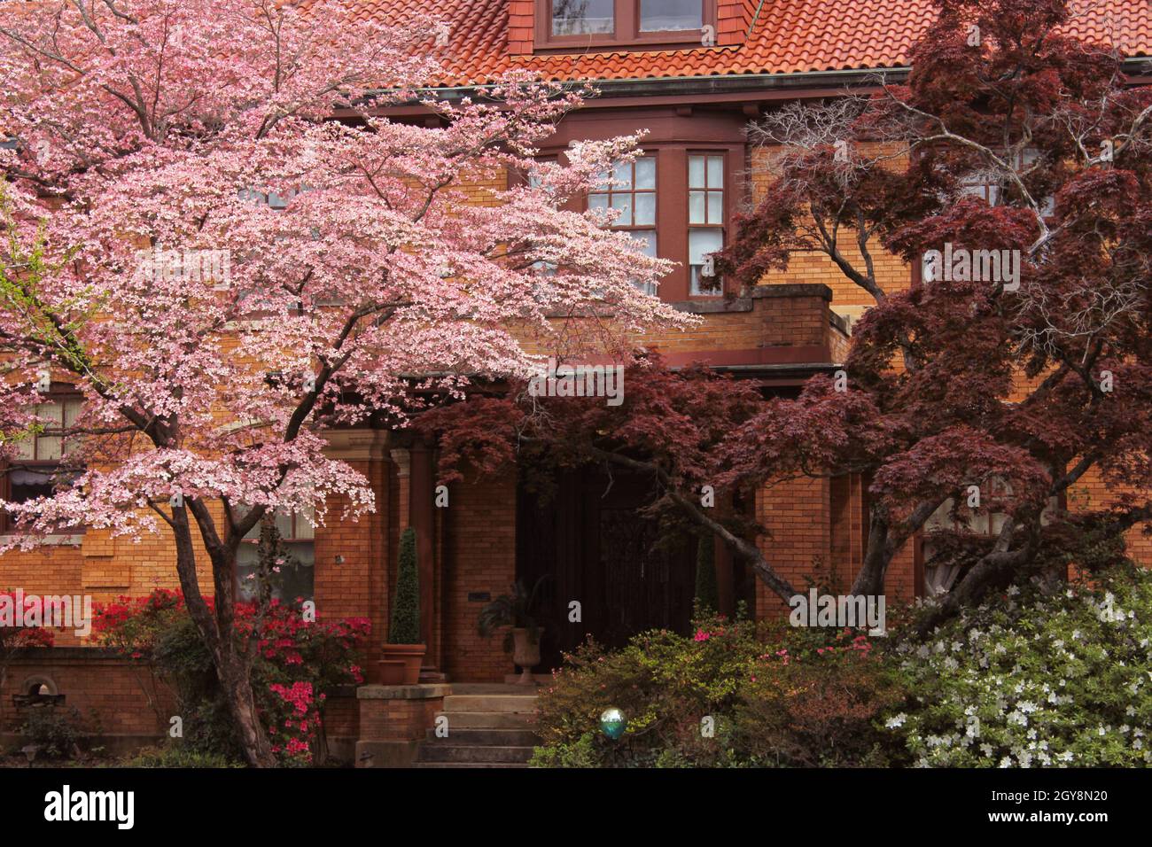 Tyler texas historic hi-res stock photography and images - Alamy