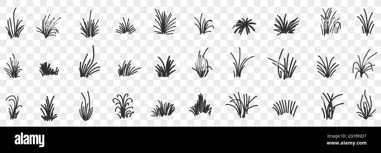 Grass natural pattern doodle set. Collection of hand drawn various ...