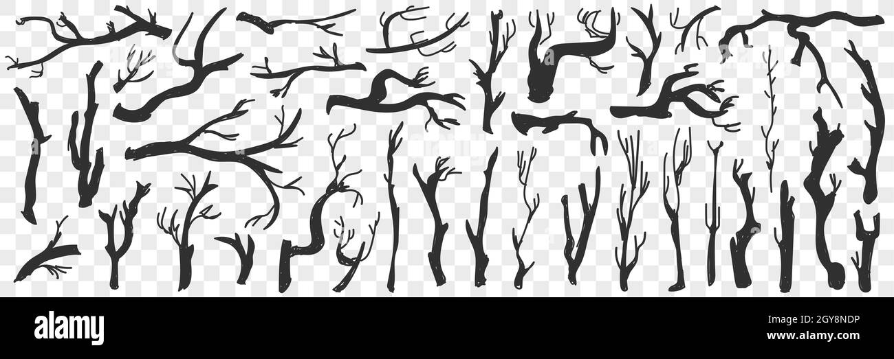 Tree branches pattern doodle set. Collection of hand drawn various ...
