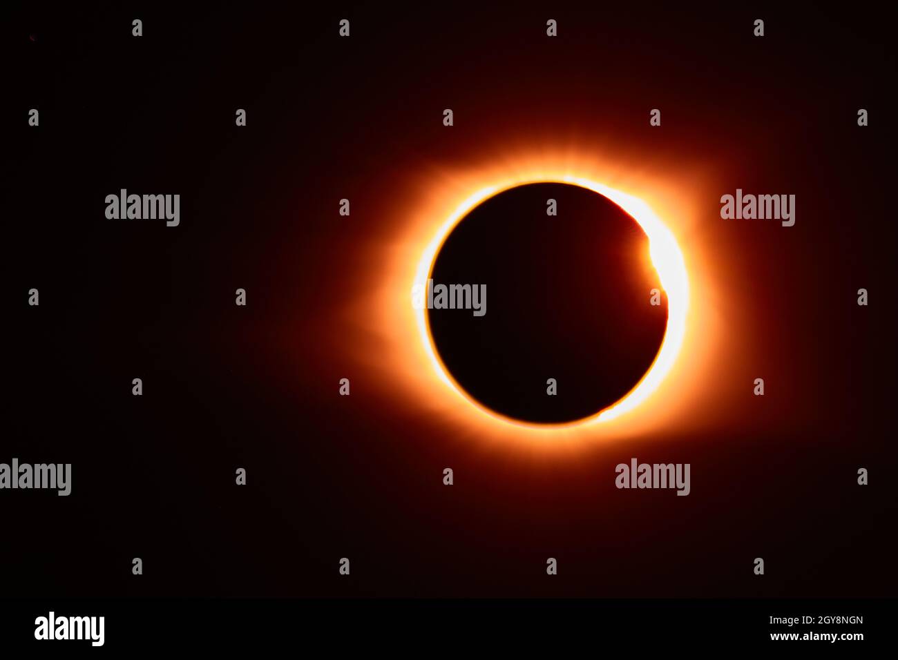 Orange and black body hi-res stock photography and images - Alamy