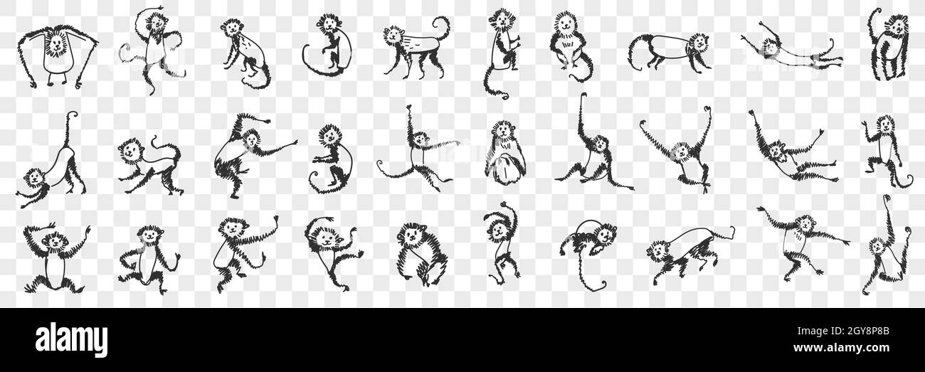 Monkeys enjoying life doodle set. Collection of hand drawn monkey ...