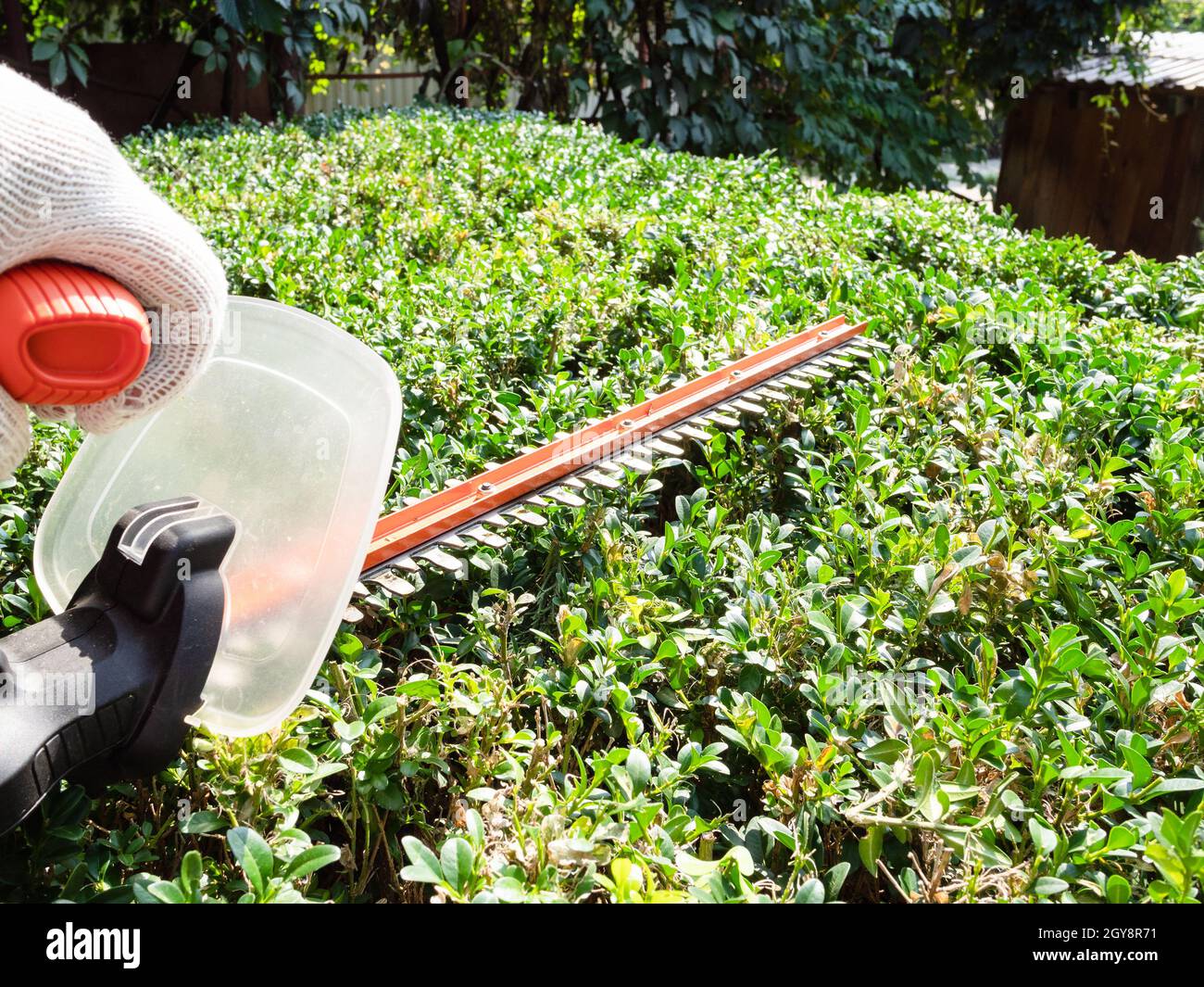 Shaving bush hi-res stock photography and images - Alamy