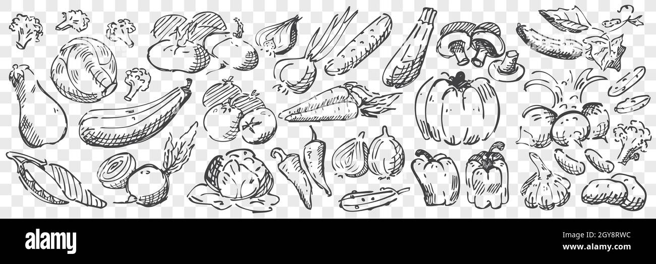 Hand drawn vegetables doodle set. Collection of pencil pen chalk ...