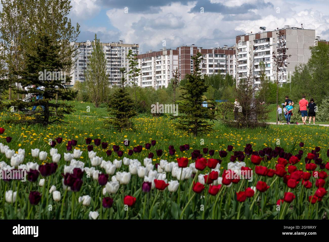 Zelenograd - eco-friendly area in the north-west of Moscow, Russia ...