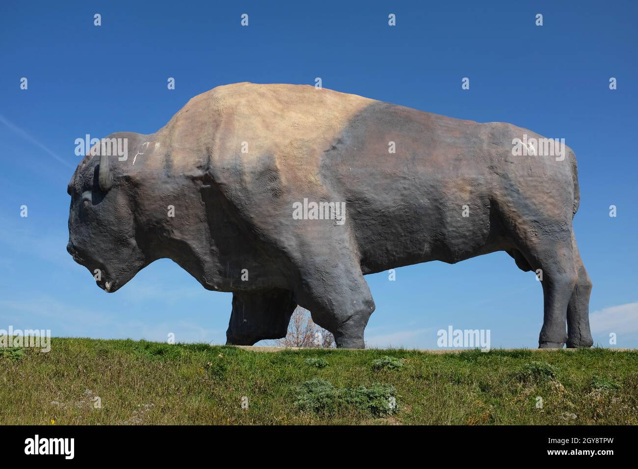 World's largest buffalo jamestown nd hi-res stock photography and ...