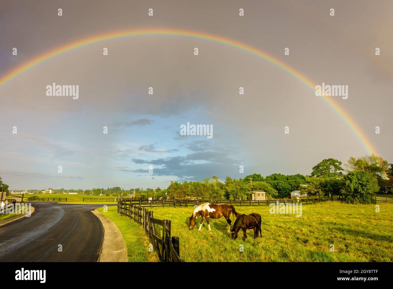 Scenic view of double rainbow over a horse pasture in Central Kentucky ...