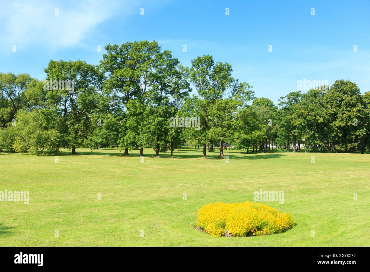Freshly mown lawn summer garden hi-res stock photography and images - Alamy