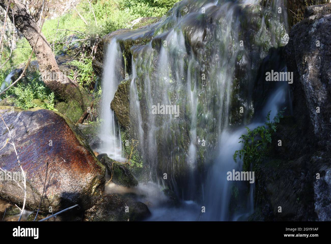 forest nature landscape trees boils waterfall places Stock Photo - Alamy