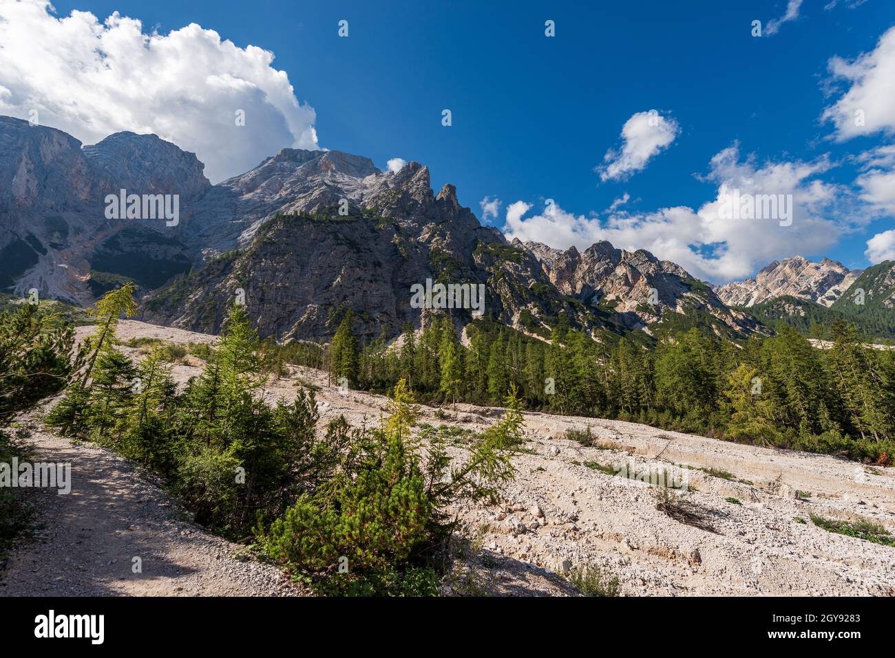 Mountain range of Croda del Becco or Seekofel in front of the Pragser ...