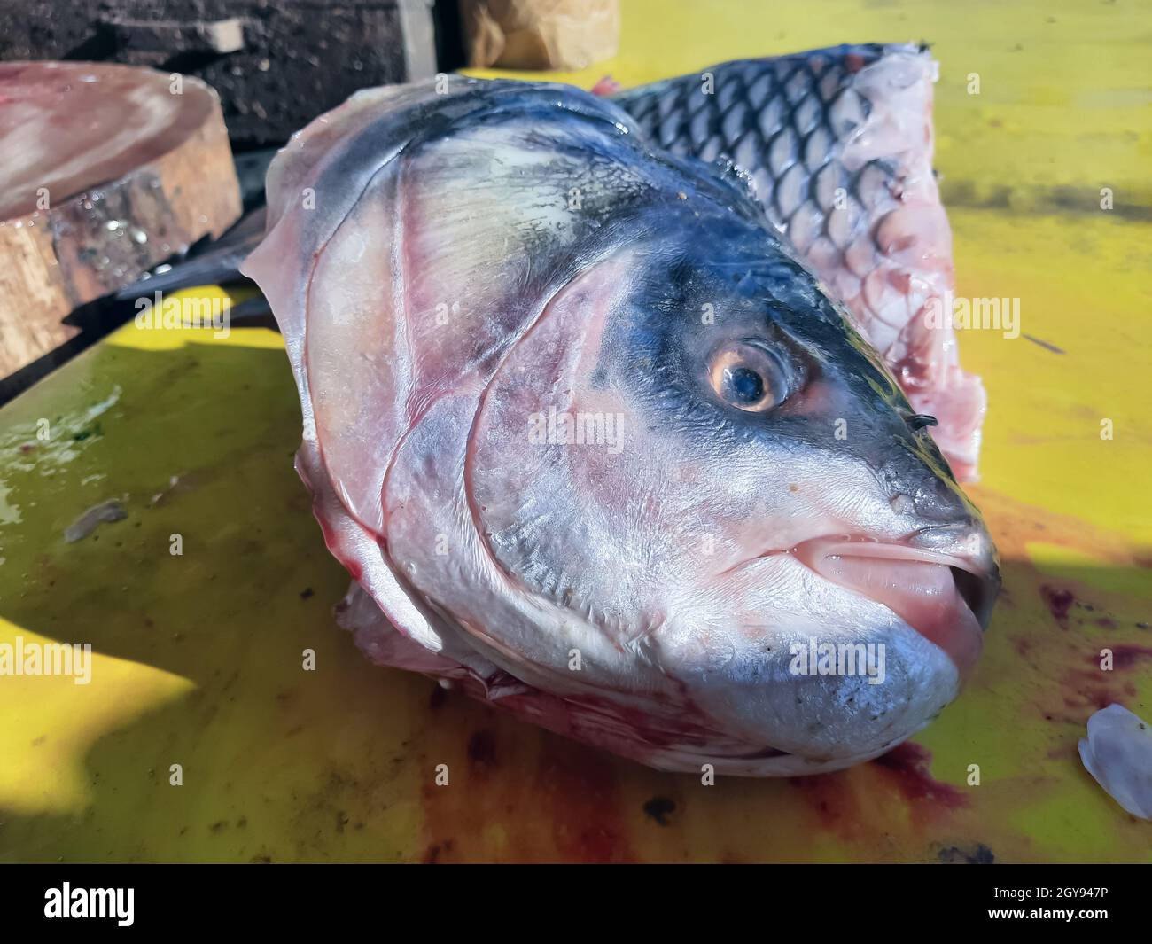 Close-up of male hands cutting big grouper fish on a wooden board with ...