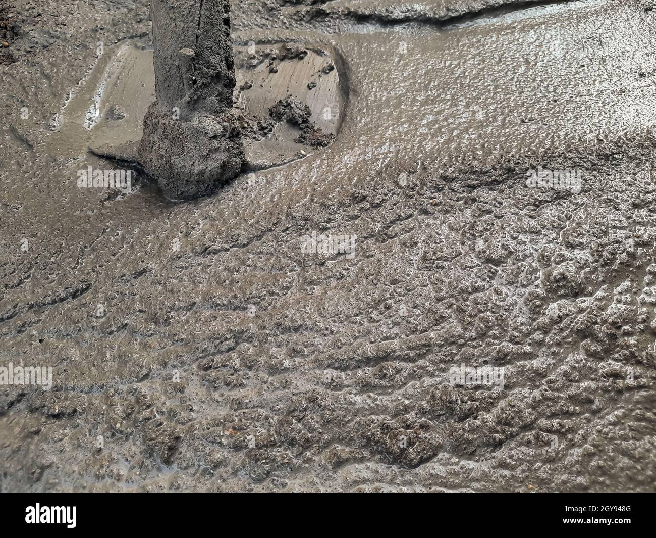 cement mixer construction site / cement mortar mixer with hoe on basin ...