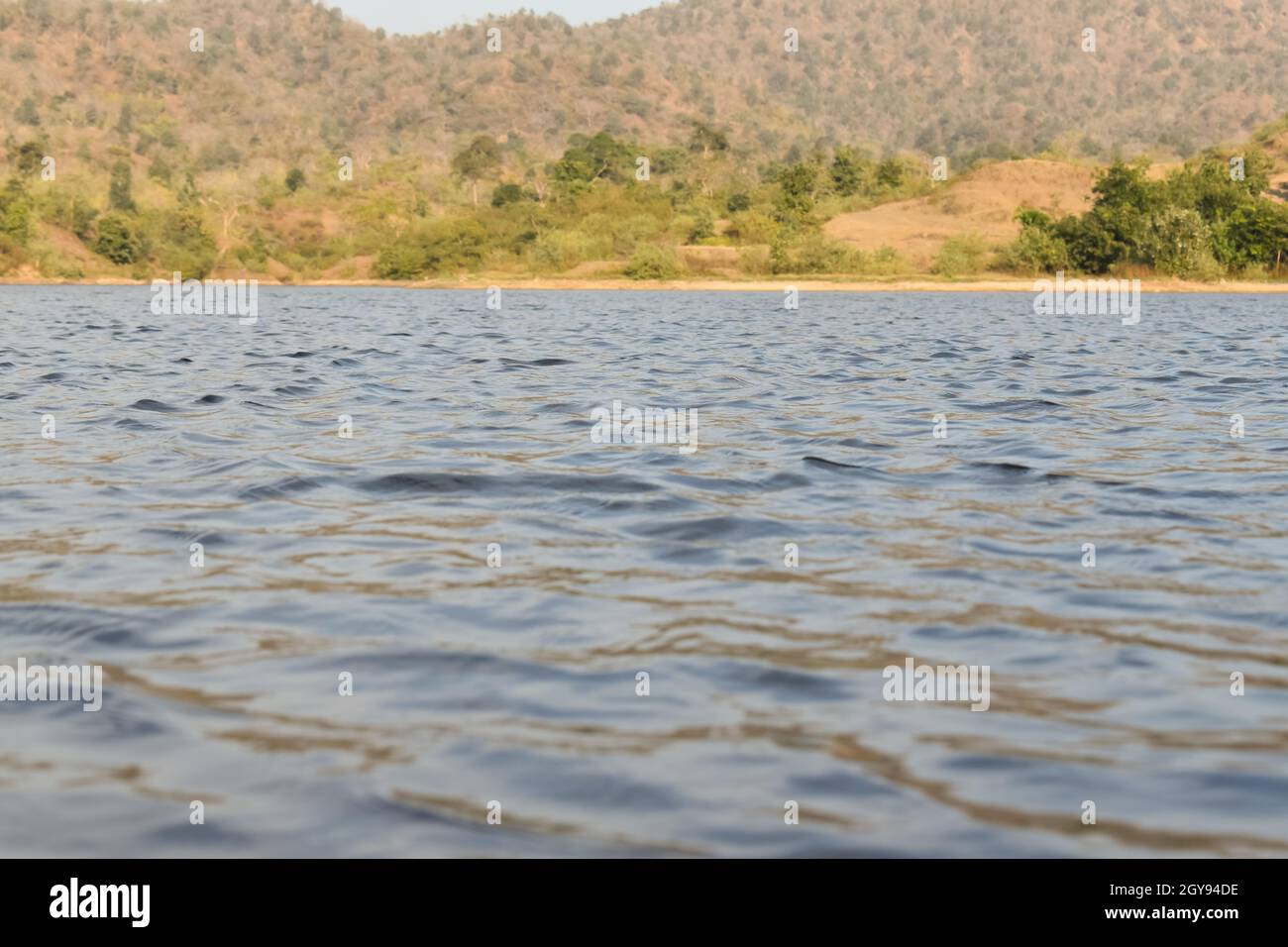 Forest blue river water landscape. Blue river water flow in forest ...