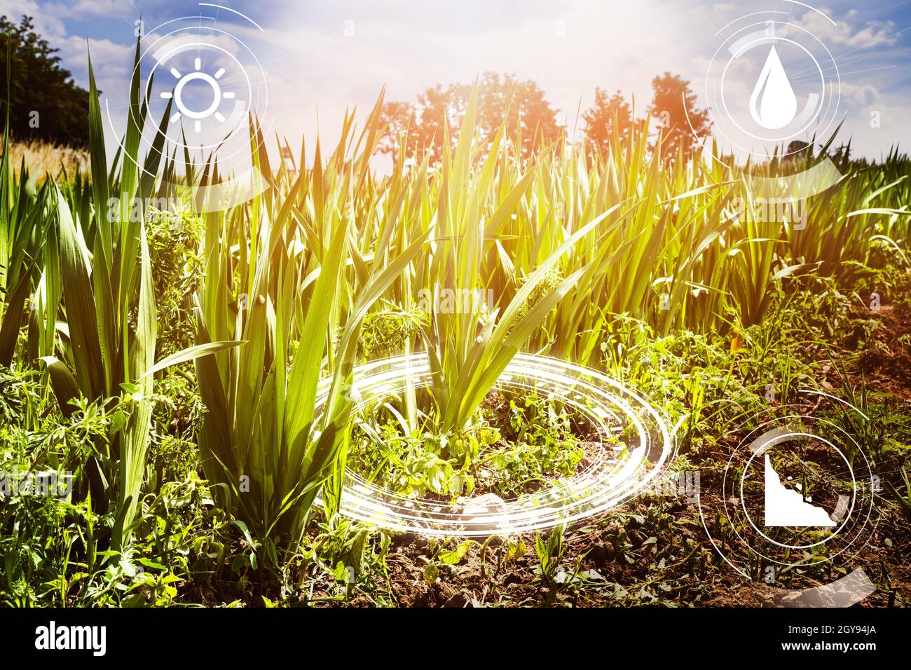 Smart E Farming Digital Technology And Agriculture System Stock Photo ...