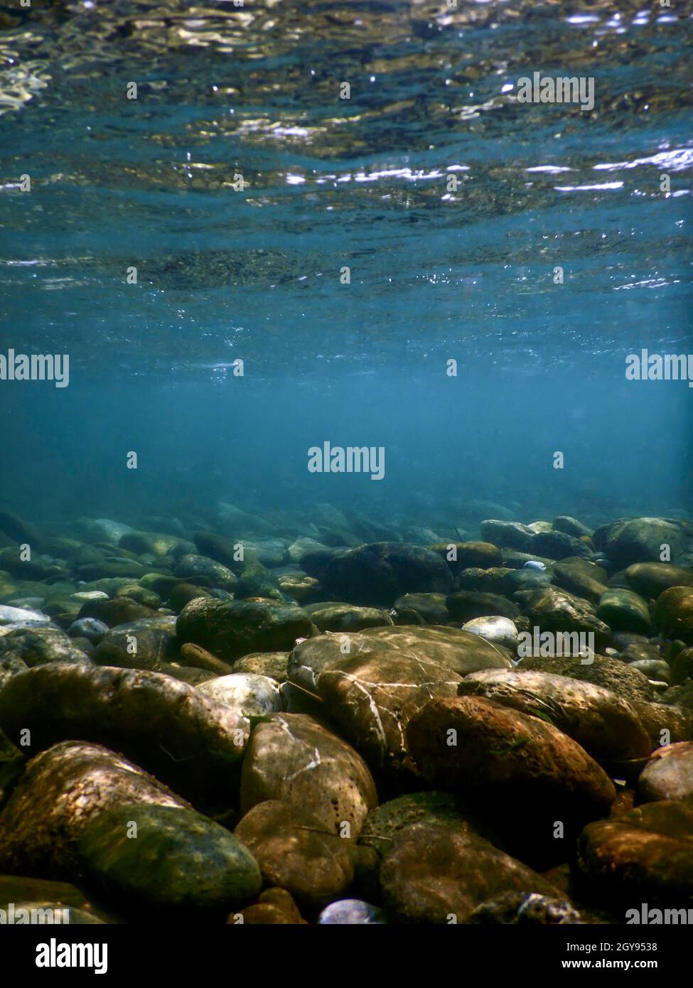 Rocks underwater on riverbed, rivers freshwater underwater, crystal ...