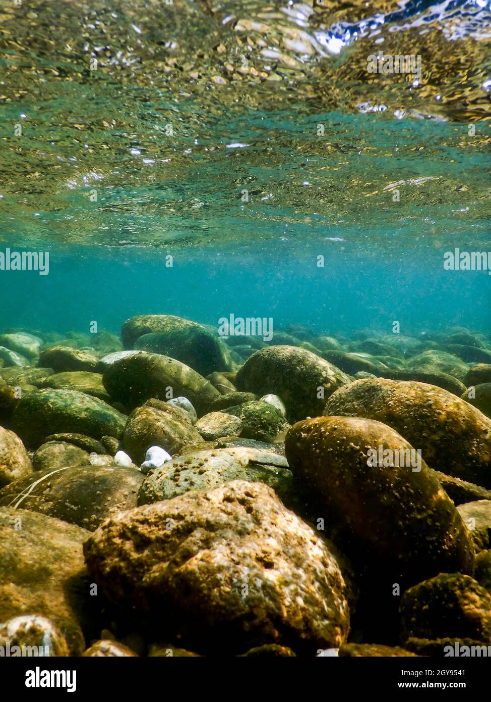 Rocks underwater on riverbed, rivers freshwater underwater, crystal ...