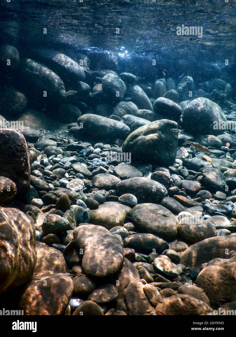 Riverbed Pebbles High Resolution Stock Photography and Images - Alamy