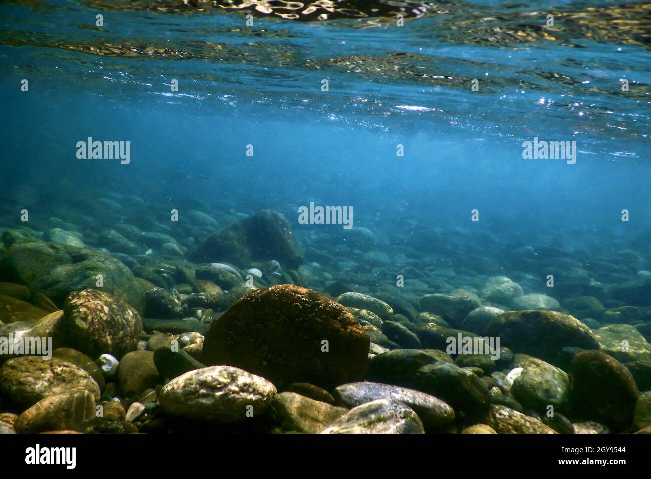 Rocks underwater on riverbed, rivers freshwater underwater, crystal ...