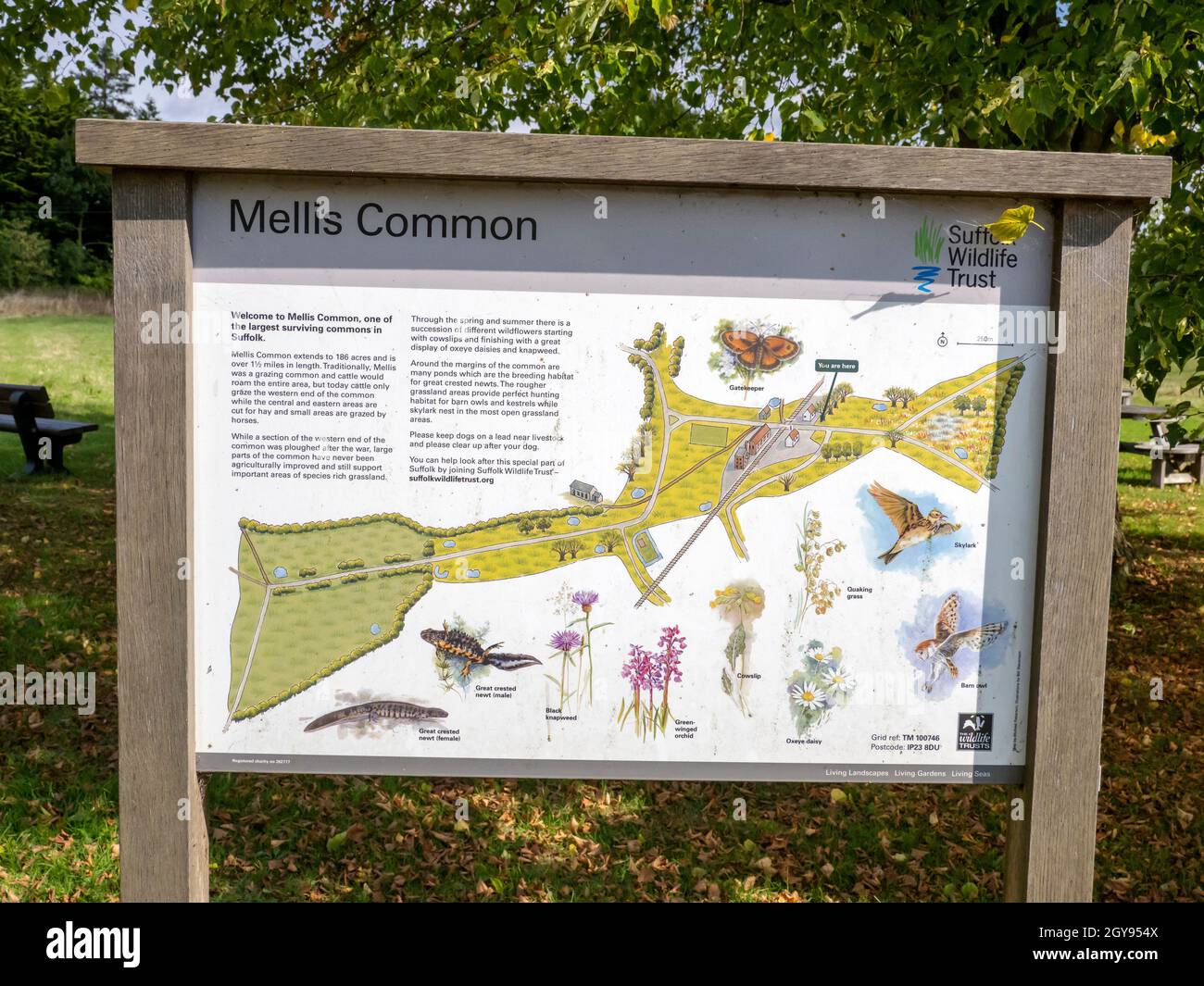 Mellis common, one of the largest surviving commons in Suffolk, UK ...