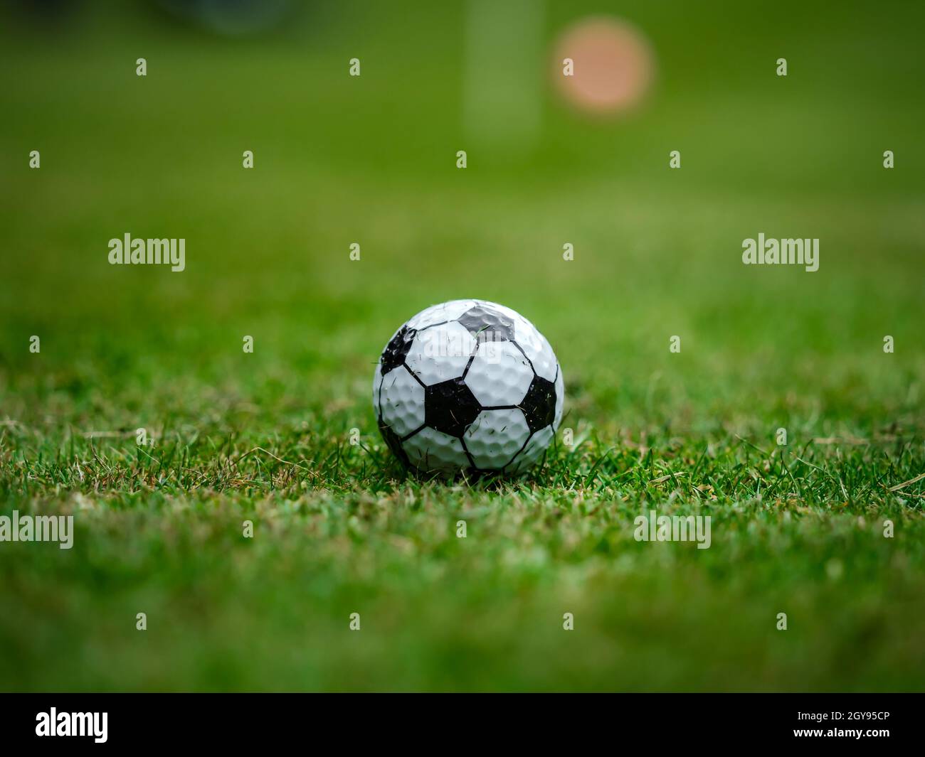 Multi-colored golf balls on green grass. Golf Club. Sports and ...