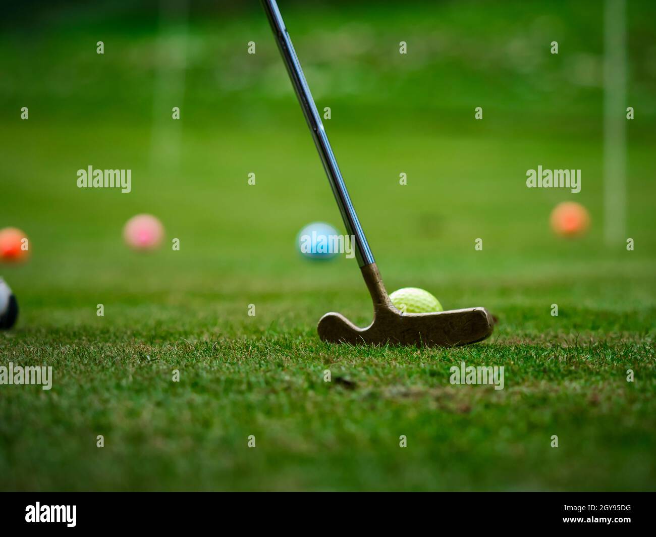 Multi-colored golf balls on green grass. Golf Club. Sports and ...