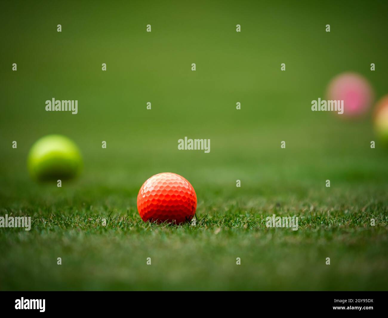 Multi-colored golf balls on green grass. Golf Club. Sports and ...