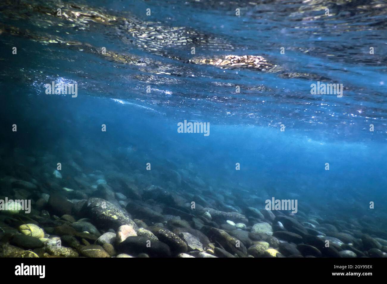 Rocks underwater on riverbed, rivers freshwater underwater, crystal ...