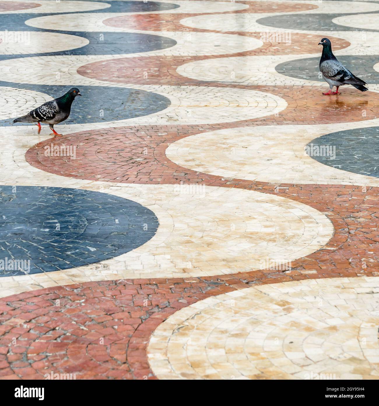 Colorful cobblestone pavement in Alicante, Spain, textured background ...