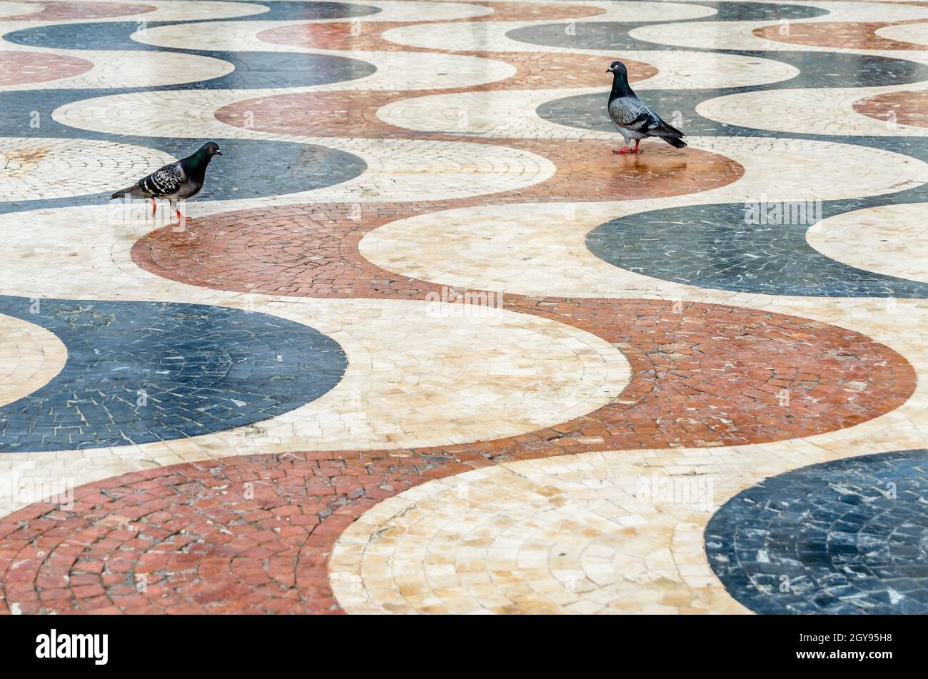 Colorful cobblestone pavement in Alicante, Spain, textured background ...
