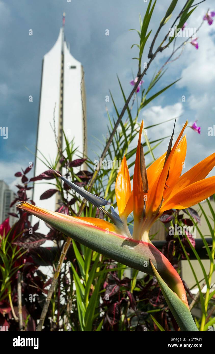 Medellin, Antioquia. Colombia - October 06, 2021. The Coltejer Building ...