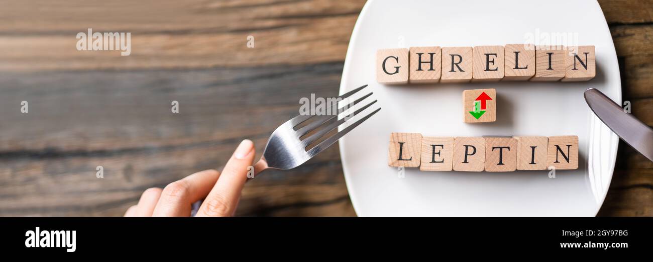 Ghrelin And Leptin Hunger Hormons. Diet And Energy Stock Photo - Alamy