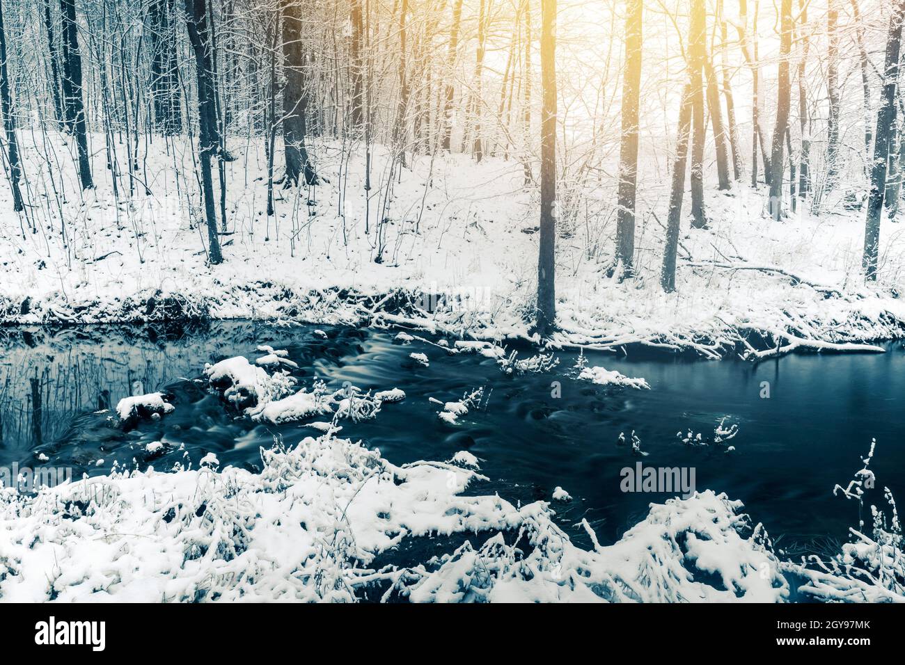 Winter snow forest river view. The trees in the forest are covered with ...