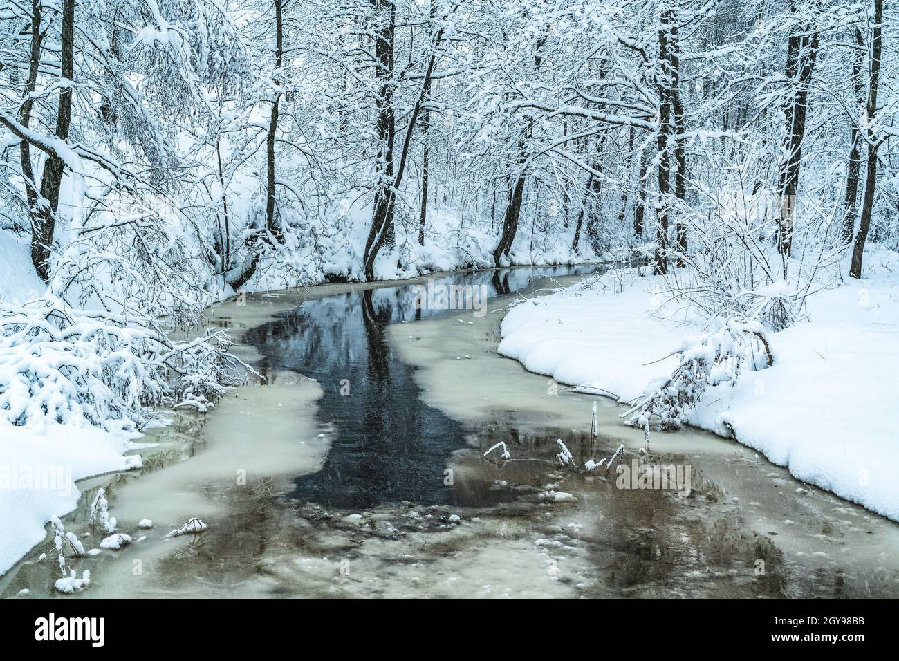 Winter snow forest river landscape. Forest river in winter. Winter ...