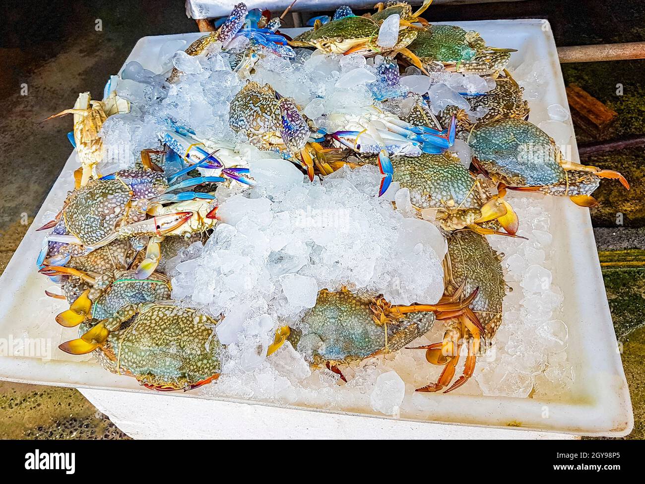 Crabs lobsters and other disgusting seafood Thai food cuisine at ...