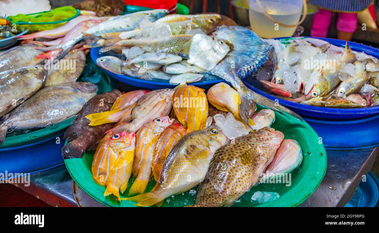 Tropical colorful fish and other disgusting seafood Thai food cuisine ...