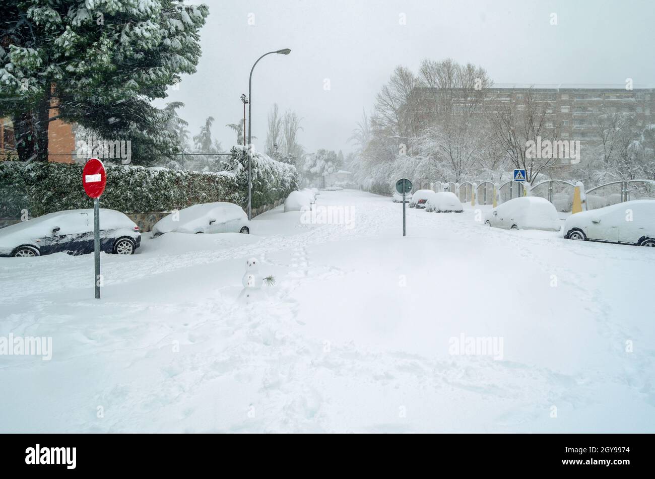 Streets of Madrid blanketed with the heaviest snowfall in 50 years ...