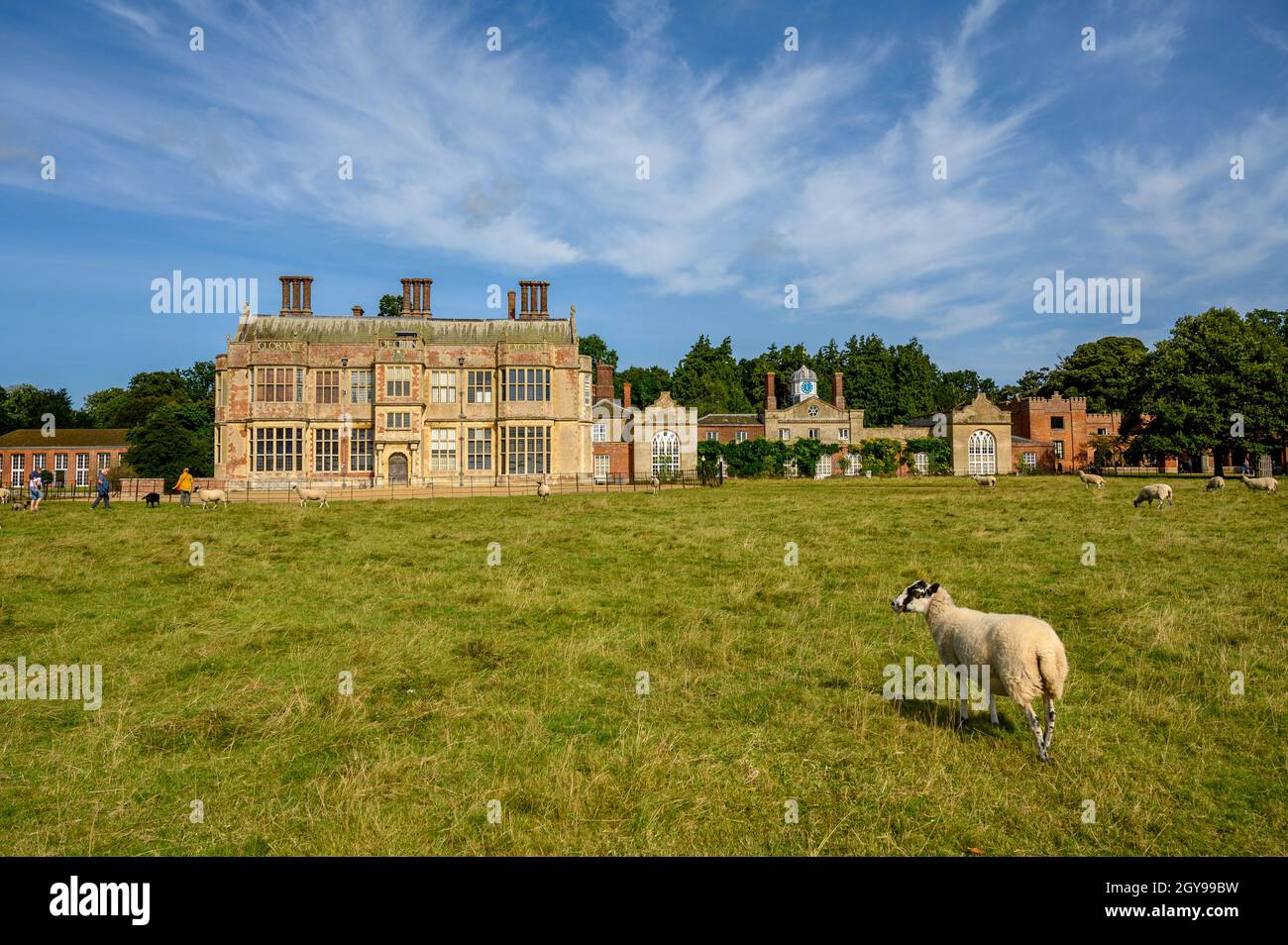 View to Felbrigg Hall over fields of pasture with sheep grazing ...