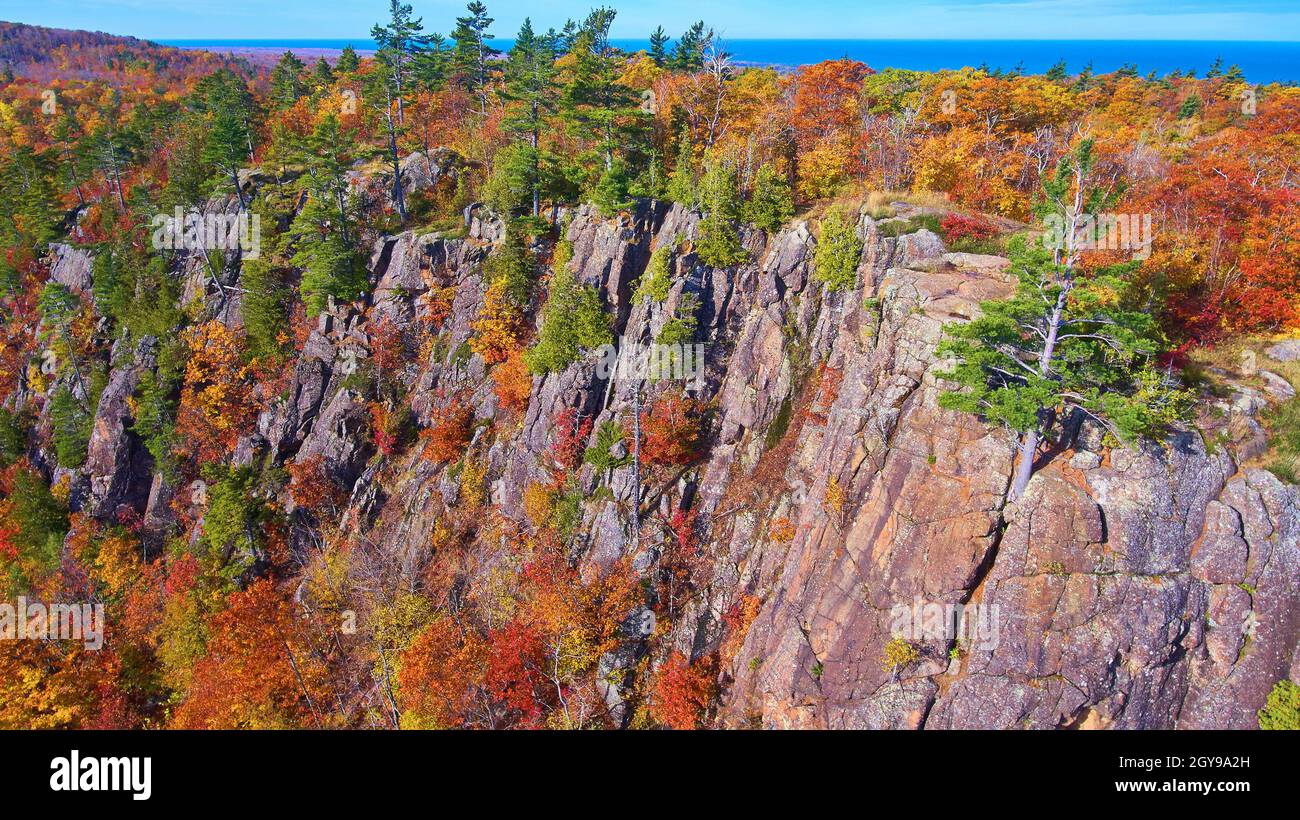 Fall forest in the mountains with aspens and pine trees and cliff walls ...