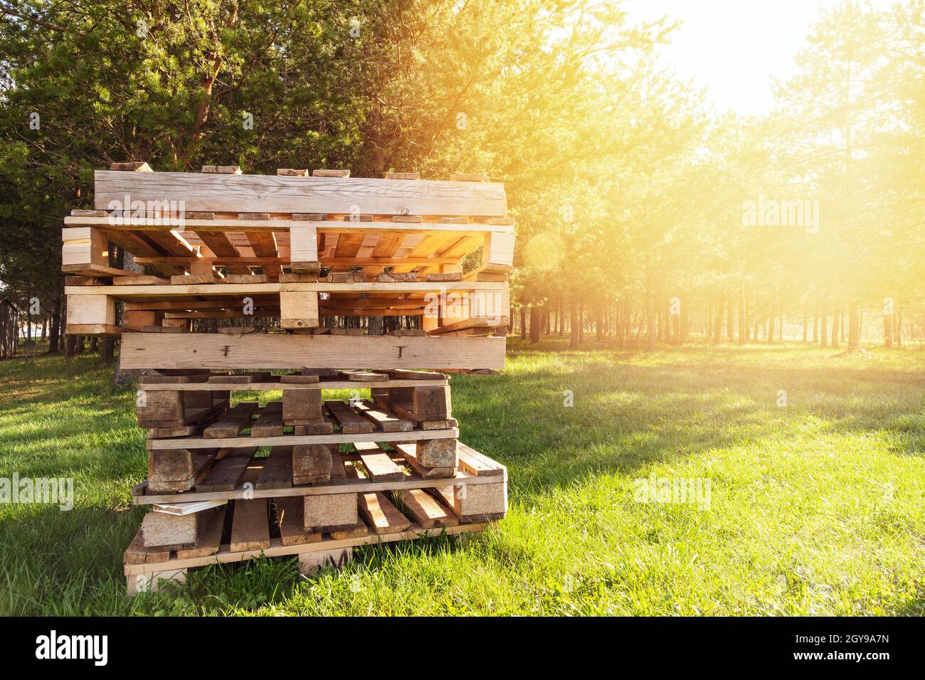 Pile of used wooden pallets on forest background Stock Photo - Alamy