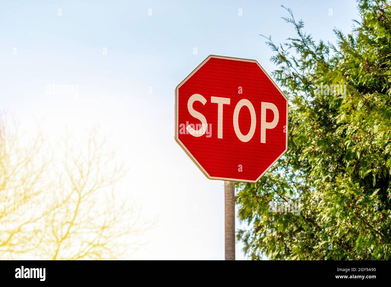 A red stop sign with morning sunlight. Stop and give way Stock Photo ...