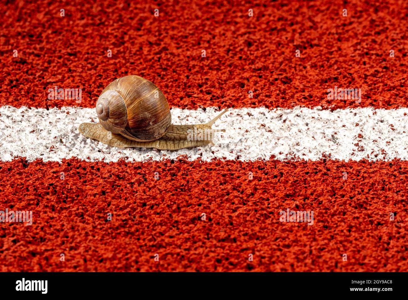 Sprint goal image hi-res stock photography and images - Alamy