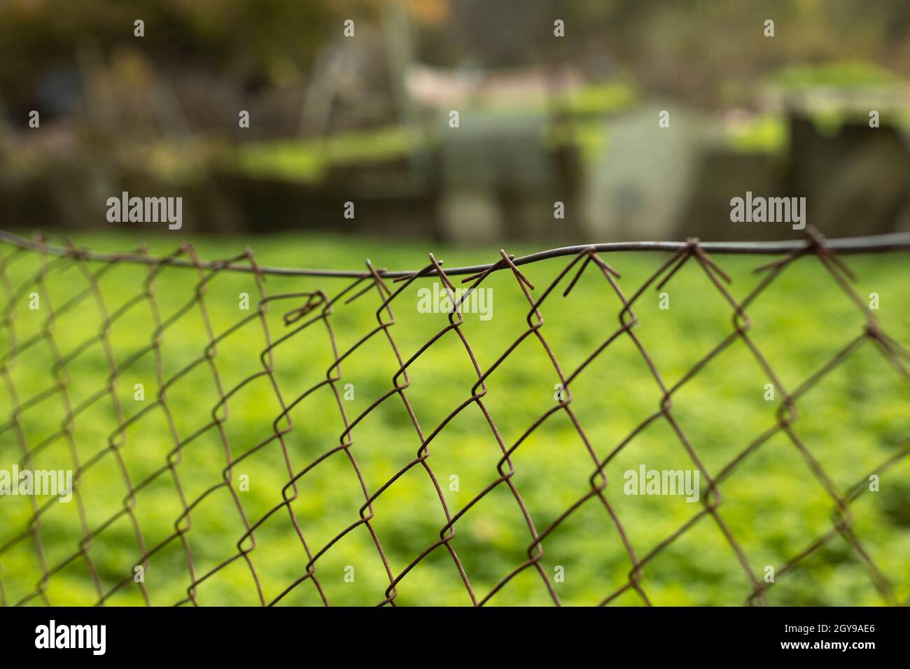 Fence mesh. Old rusty mesh in the garden. A hedge in the village Stock ...