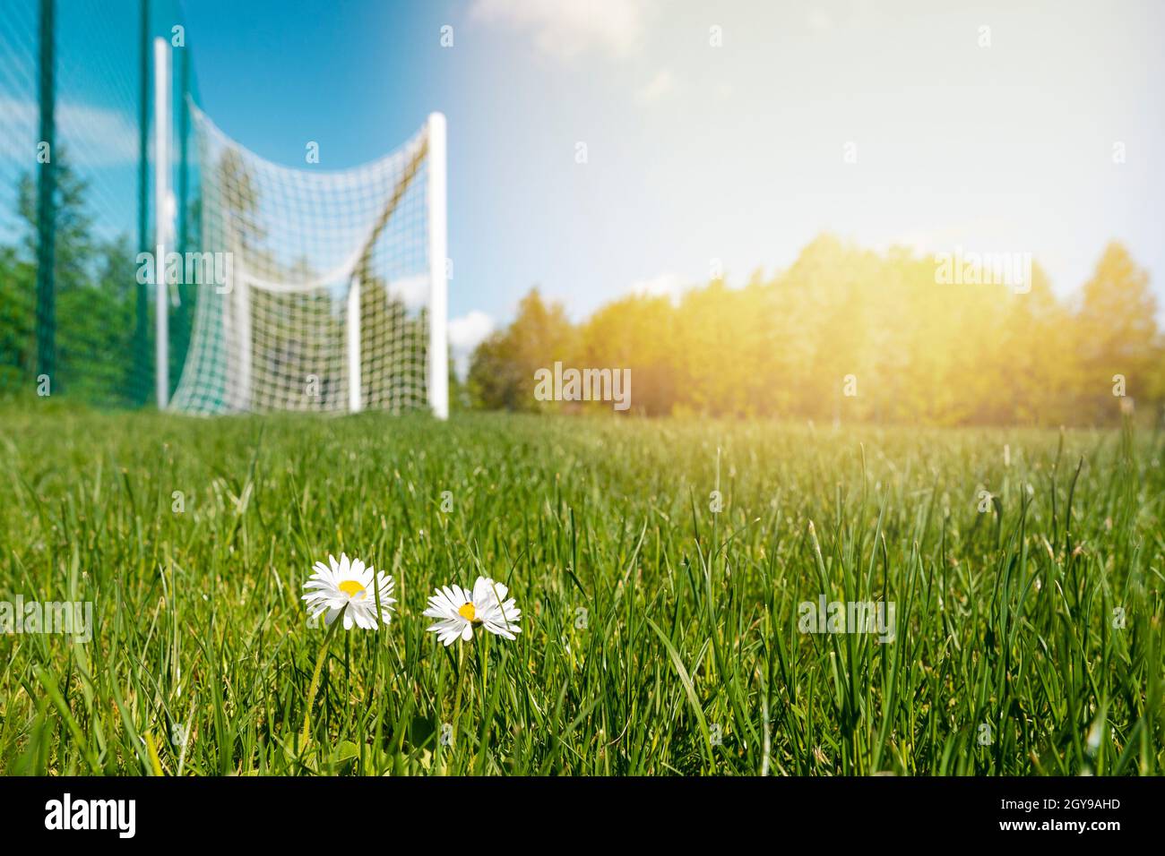 Soccer field flowers hi-res stock photography and images - Alamy