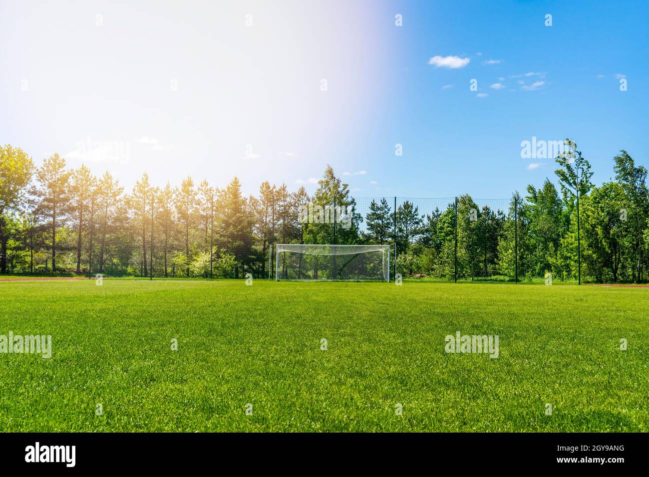 Green grass on the football stadium with empty goals Stock Photo - Alamy
